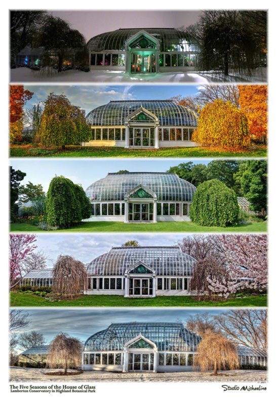 House of Glass – Studio Michaelino