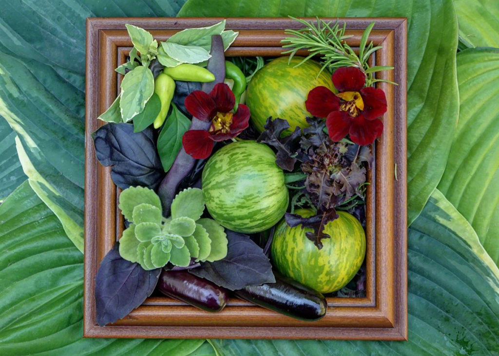 Vegetable Portraits II | Studio Michaelino